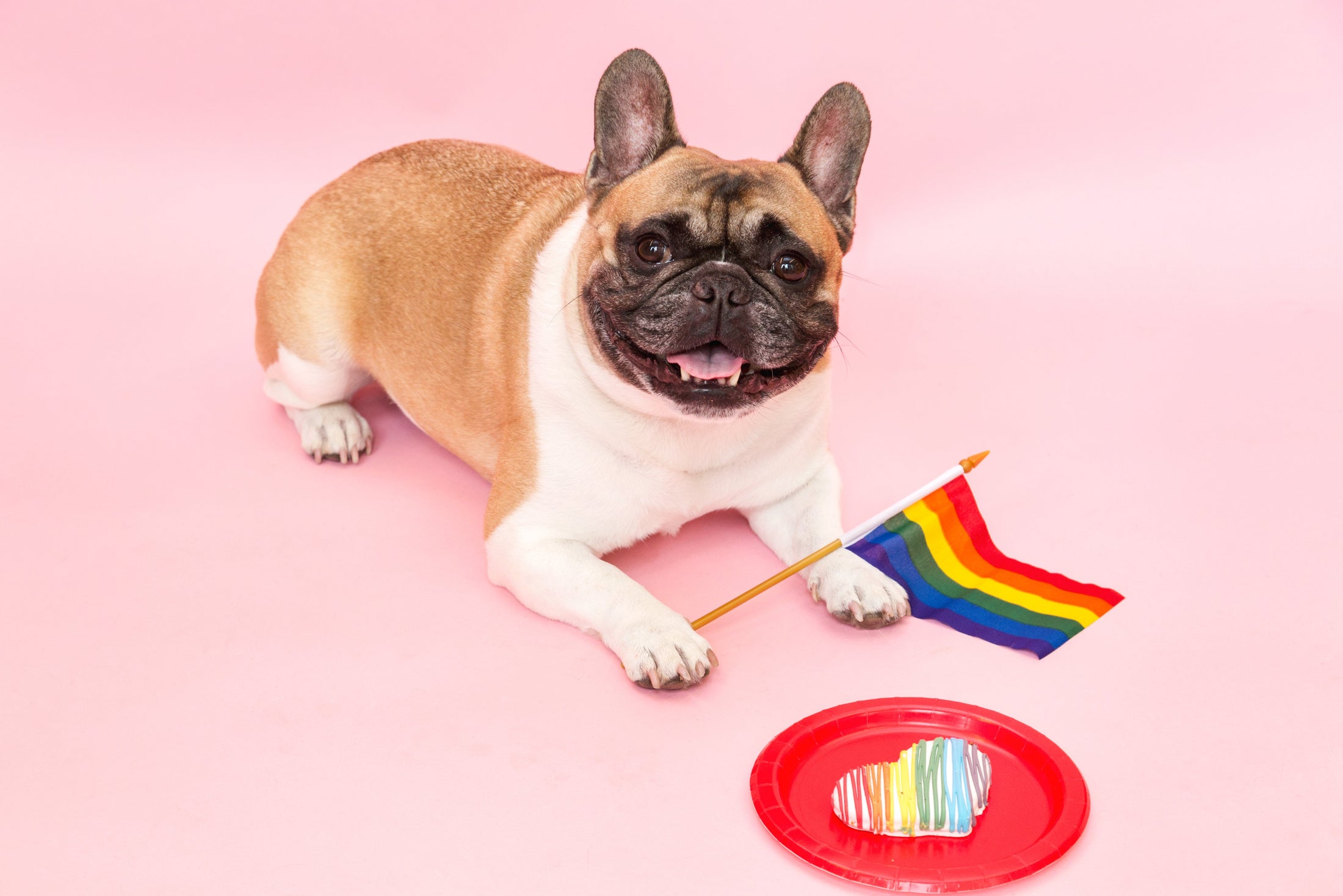 Gay & Trans Animals That Prove Nature Is Queer | LGBTQ+ in the Animal ...